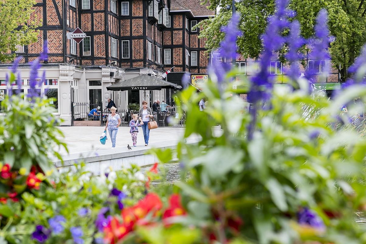 watfordflowers2016_27.jpg?quality=75